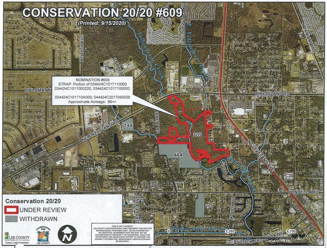 Yellow Fever/Judd Creek Preserve parcel up for CLASAC consideration ...